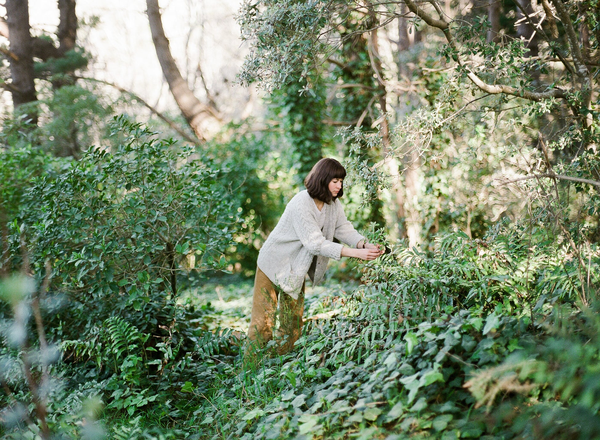 About – Flora Waycott