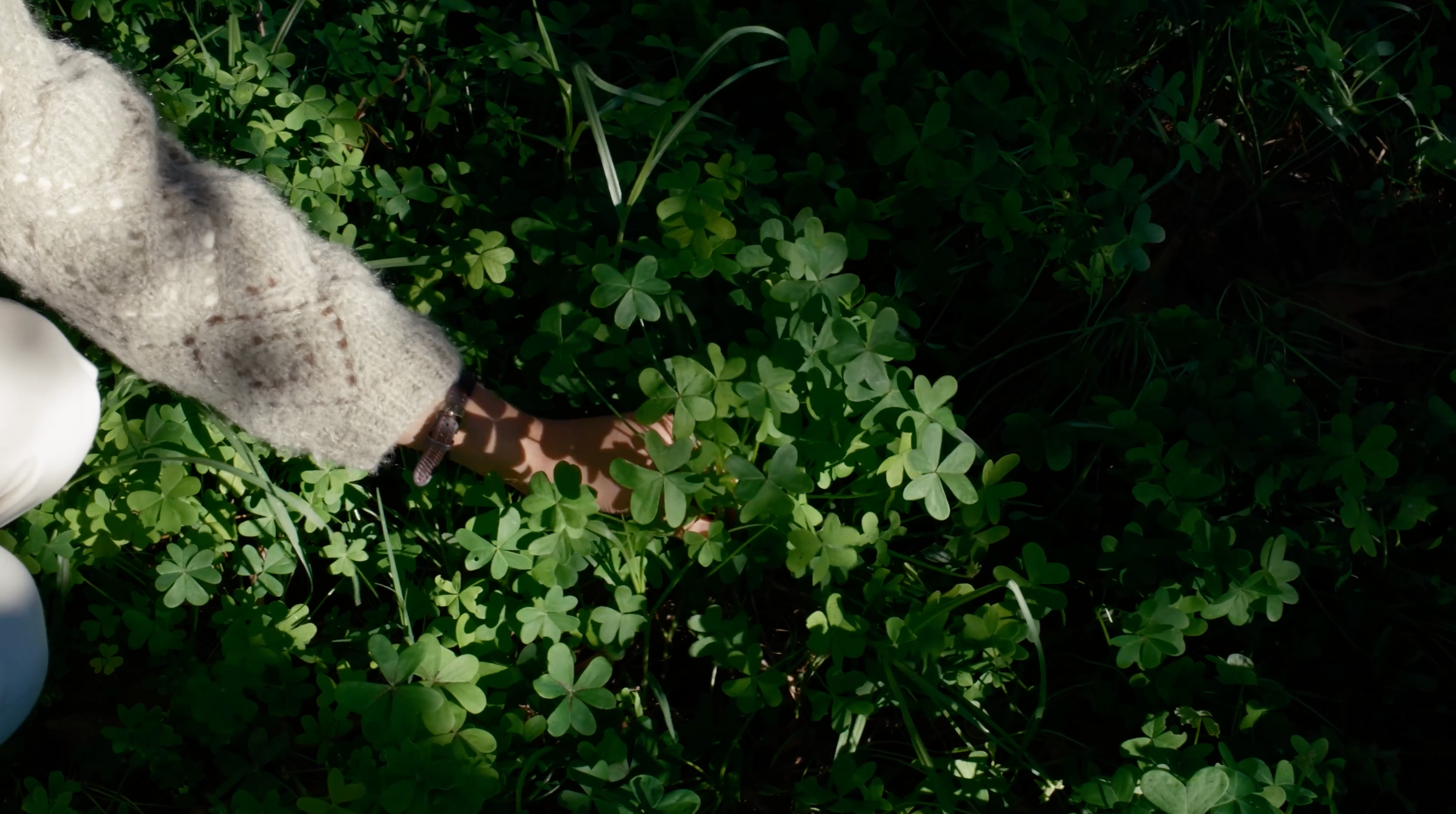 About – Flora Waycott